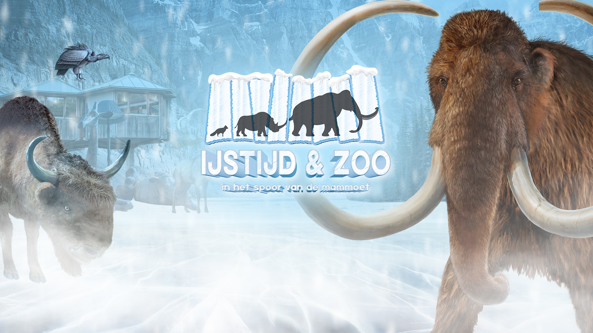 'IJstijd & Zoo' wegens succes verlengd